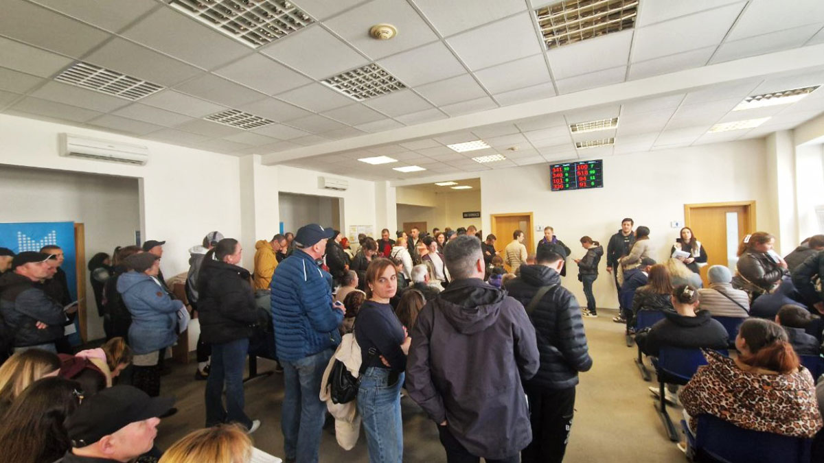 Як українцям у Чехії правильно виявити інтерес до ZDP: відповіді на ...